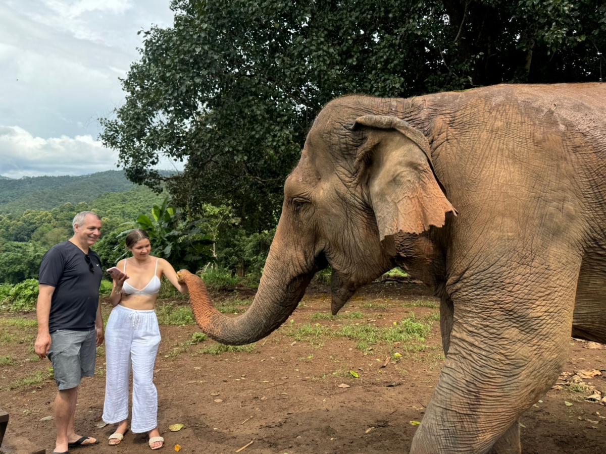 Chiang Mai Morning: Elephant Sanctuary & Waterfall Tour : Elephant ChiangMai Thailand Elephant ...